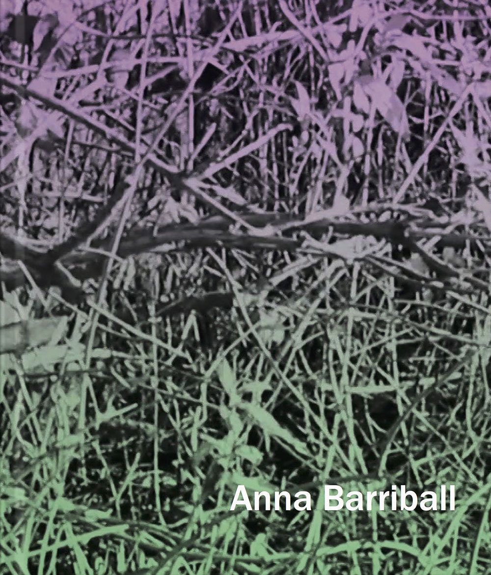 Anna Barriball | VFMK Verlag für moderne Kunst