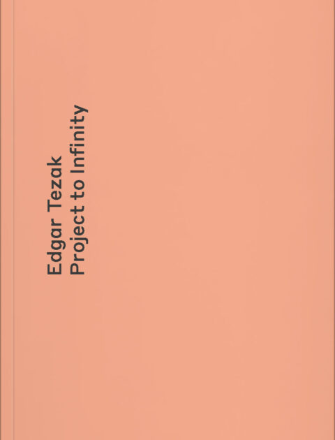 Edgar Tezak – Project to Infinity | VFMK Verlag für moderne Kunst